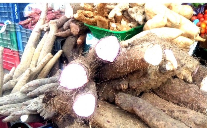 Jantedhunga- No.1 Nepal News Portal